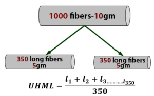 Length parameters of cotton fibers | Textile Study Center