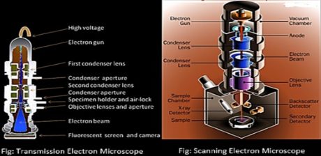 Electron Microscope | Textile study center