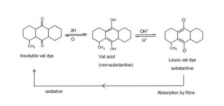 Dyeing of Cotton with Vat dye | Part 01 | Textile Study Center