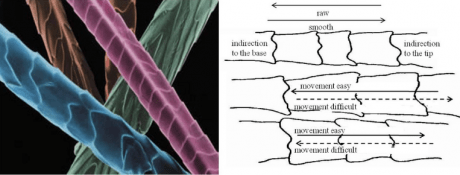 Physical & Chemical Properties of Wool Fibre | Part 04 | Textile Study ...