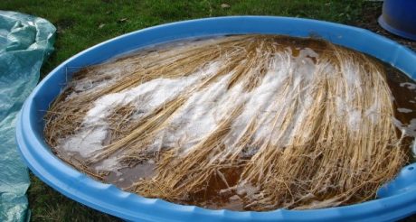 Flax Fiber: A Brief Discussion | Flax Fibre Cultivation | Flax Fibre ...