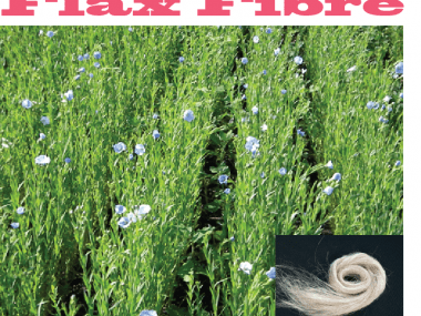 Flax Fiber | Chemical Composition | Physical Properties and Chemical ...