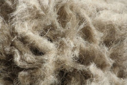 Flax Fiber | Chemical Composition | Physical Properties and Chemical ...