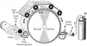 Carding Introduction | Part 01 | Textile Study Center