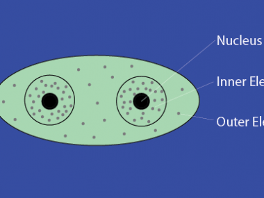 Optical Properties of Textile Fibers