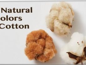 Naturally Colored Cotton